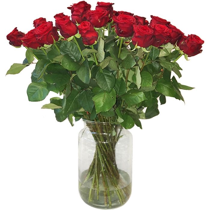 Rozen boeket bestellen en bezorgen | De Roos Bloemist
